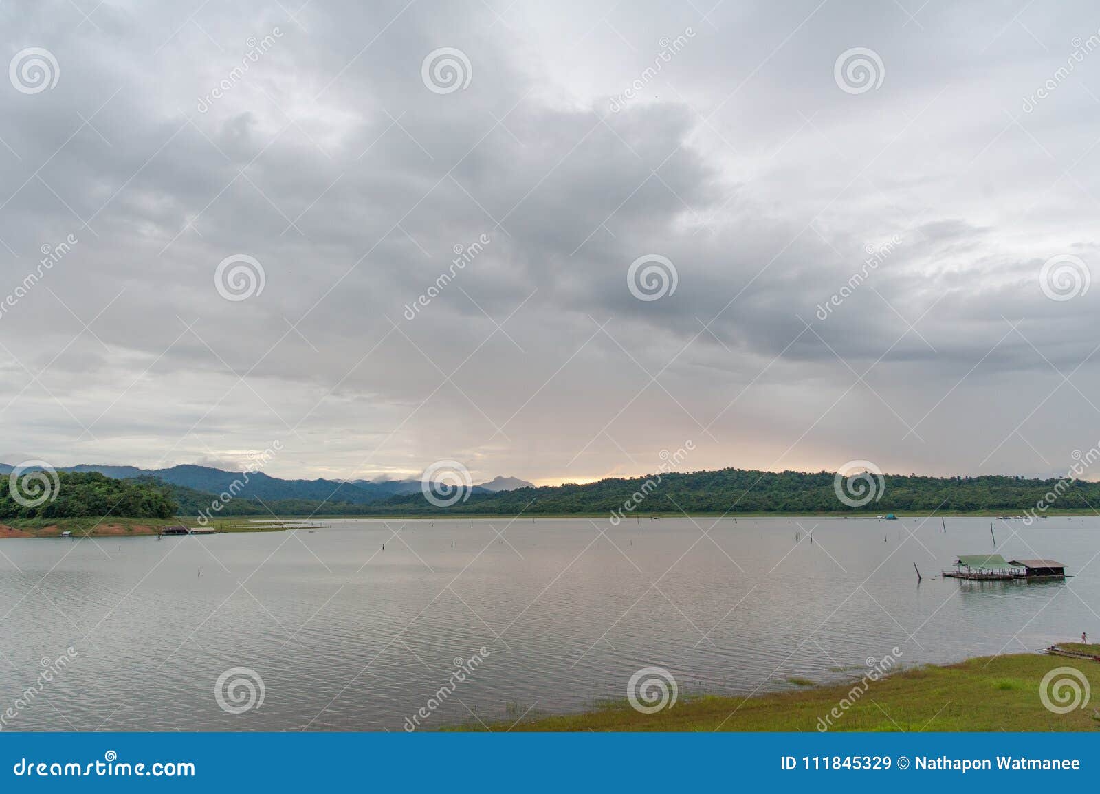 Floating in lake. stock image. Image of background, beauty - 111845329