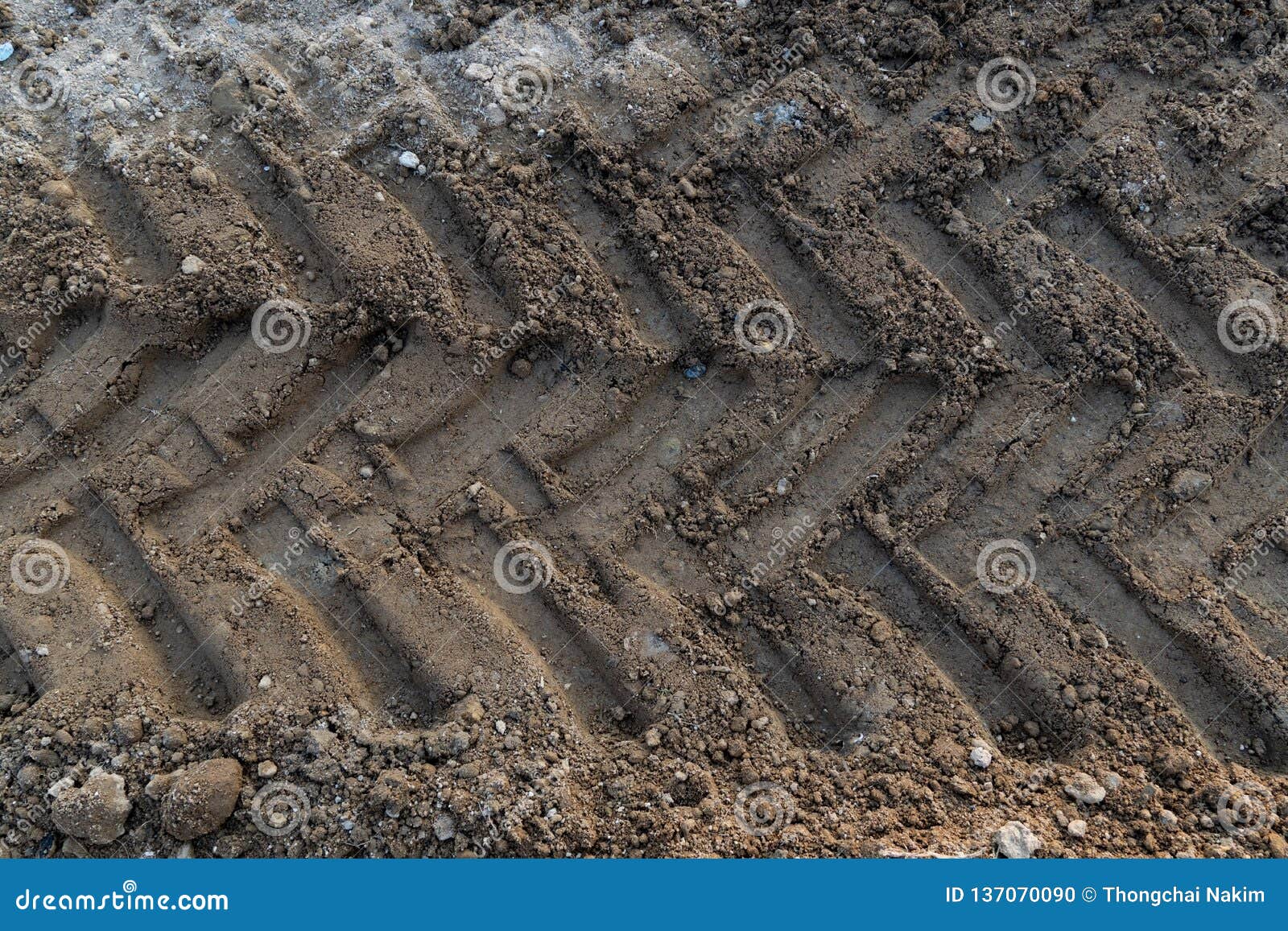 Floating Large Tires on Soil Roads. Stock Photo - Image of earth ...