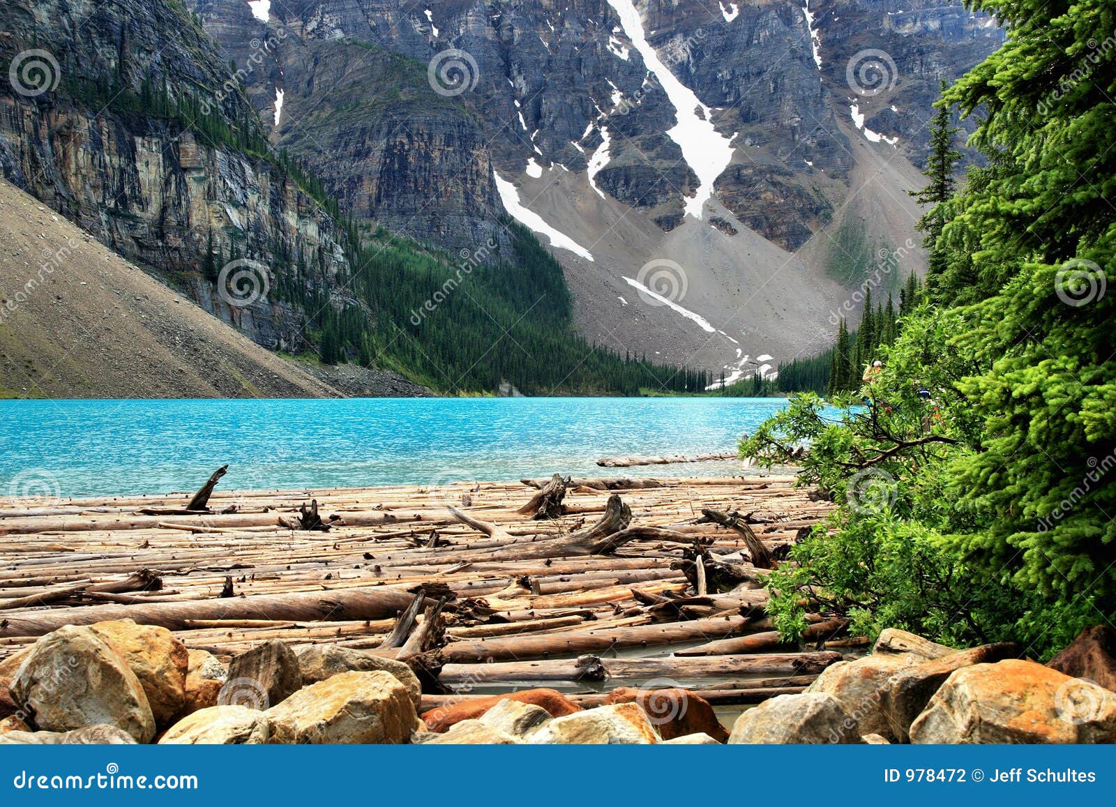 435 Floating Logs Photos - Free & Royalty-Free Stock Photos from Dreamstime