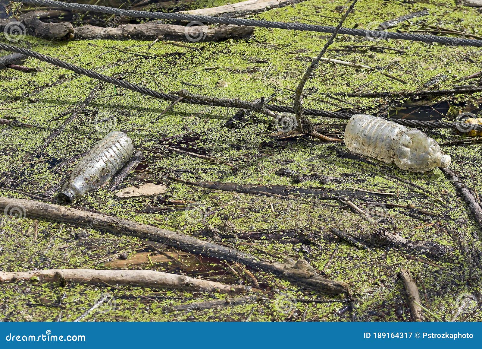 Floating Old Garbage in Water, Plastic Bottles Stock Image - Image of ...