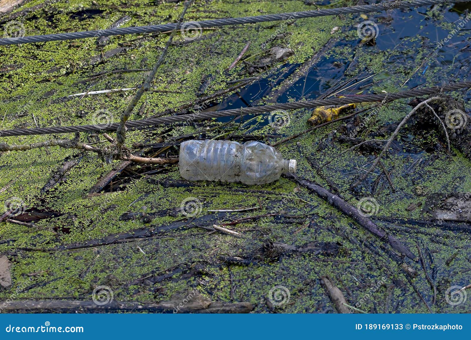 Floating Old Garbage in Water, Plastic Bottles Stock Image - Image of ...
