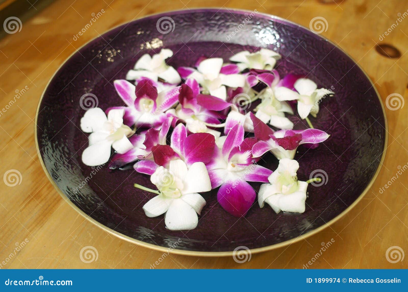 Floating Orchids stock photo. Image of orchid, dish, magenta - 1899974
