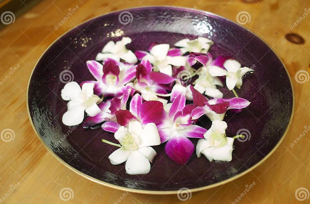 Floating Orchids stock photo. Image of orchid, dish, magenta - 1899974
