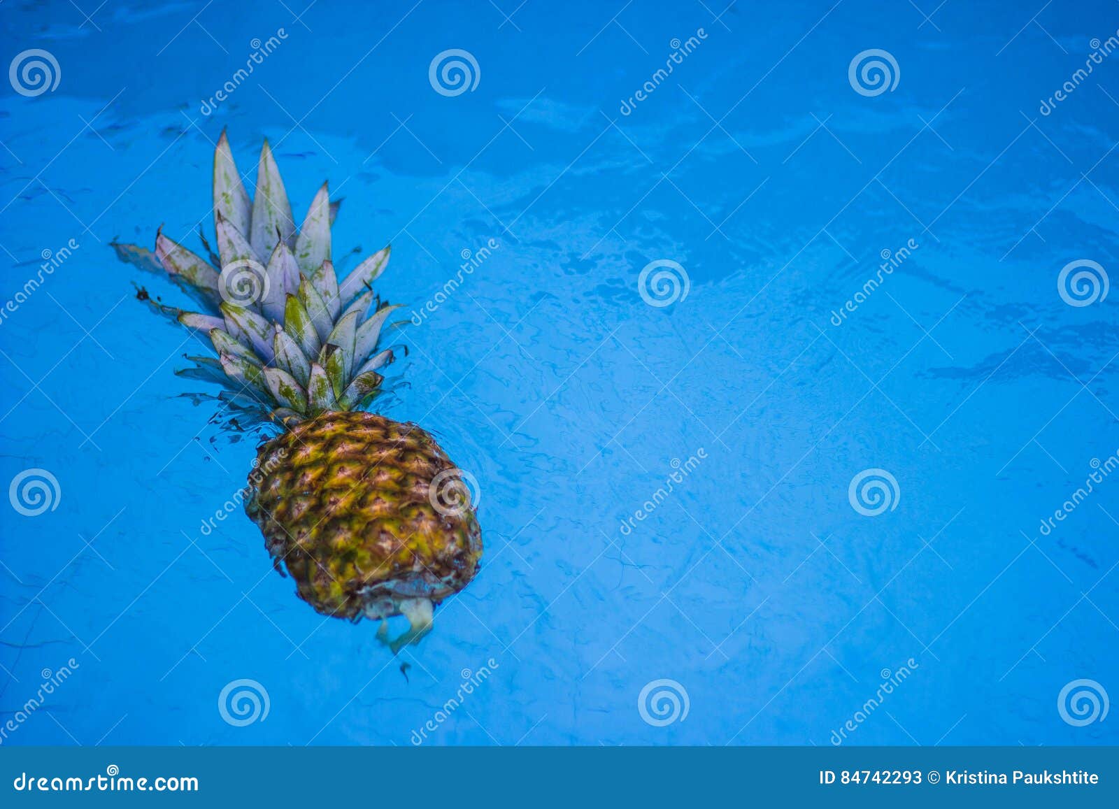 Floating pineapple stock image. Image of water, tropical - 84742293