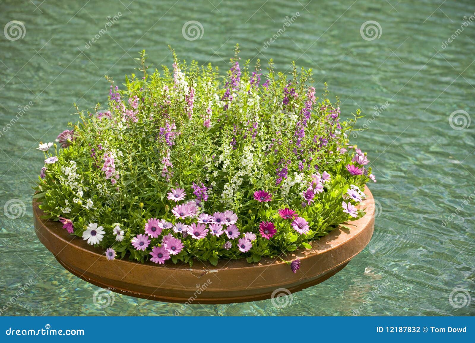 Floating Planter of Flowers Stock Photo - Image of flowers, float: 12187832