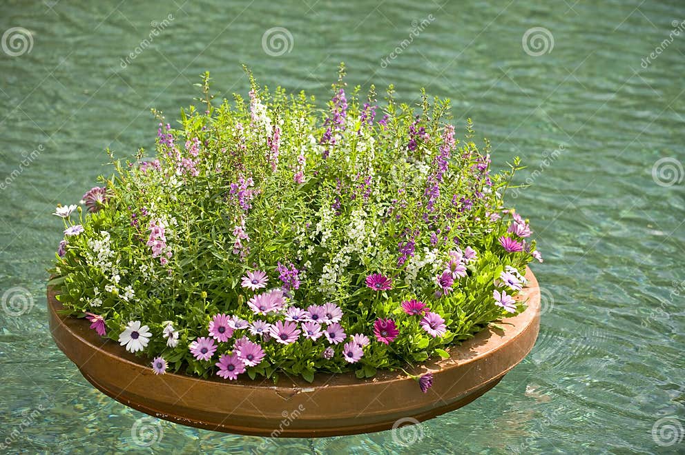 Floating Planter of Flowers Stock Photo - Image of flowers, float: 12187832