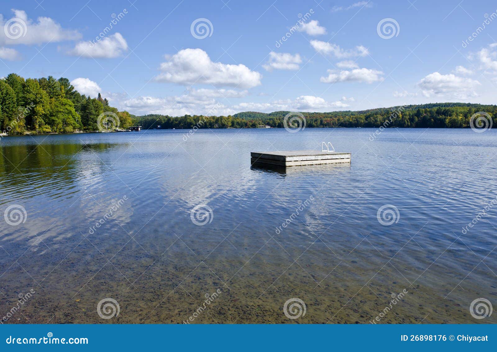 Floating Platform on a Lake #1 Stock Photo - Image of dive, ladder ...