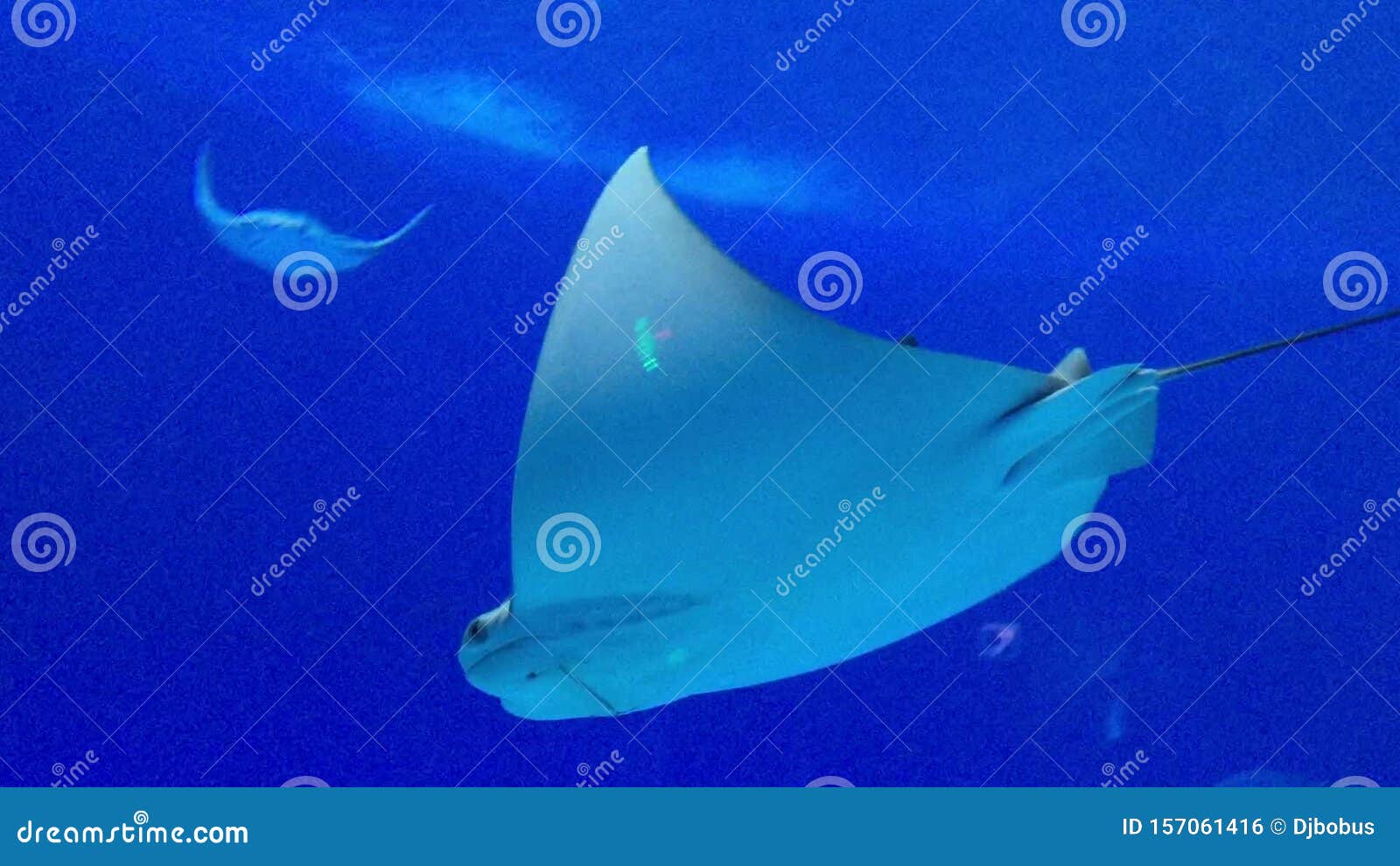 Floating-point Text Written on Programming Code Abstract Technology ...