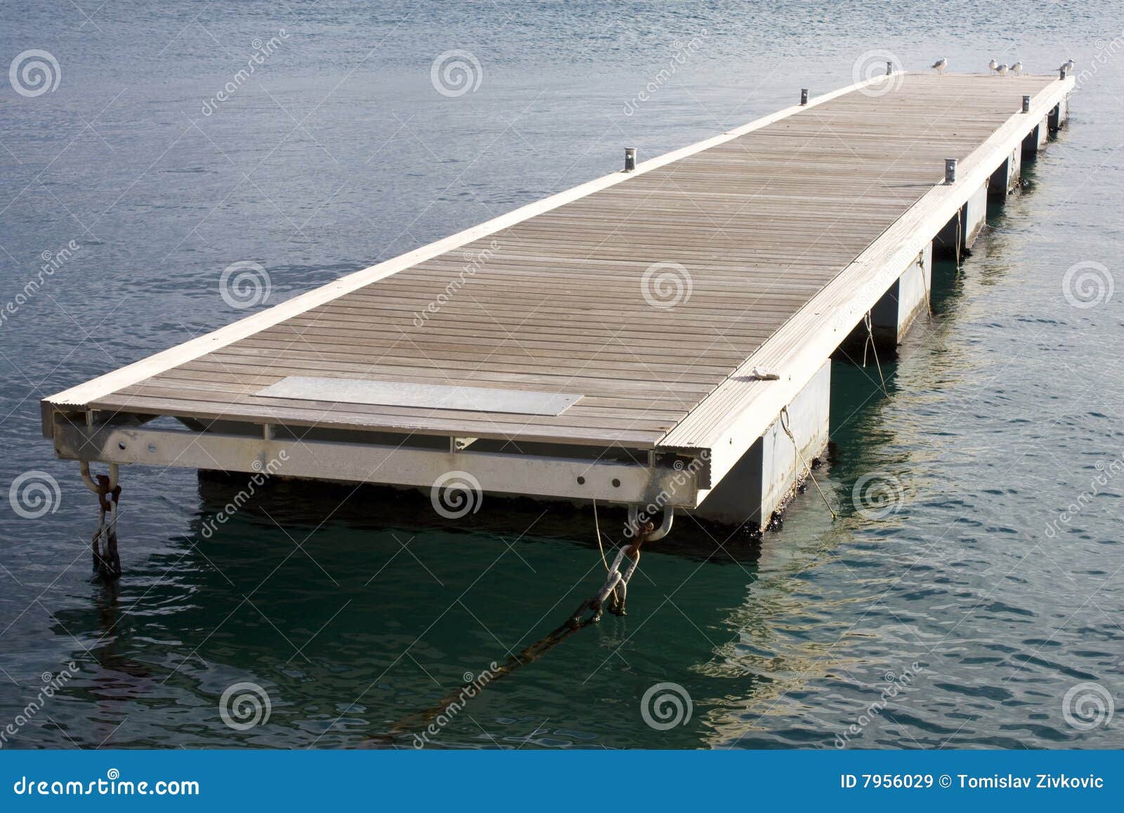 Floating Pontoon Dock Deck Stock Photo | CartoonDealer.com #247050024