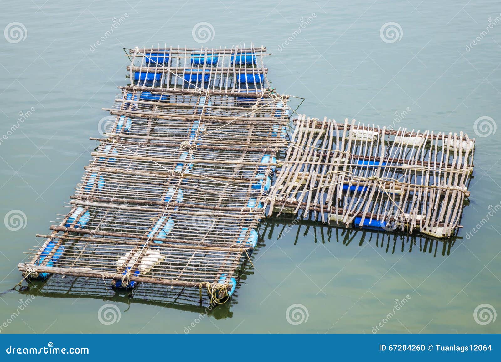 Floating raft stock photo. Image of nature, port, agriculture - 67204260