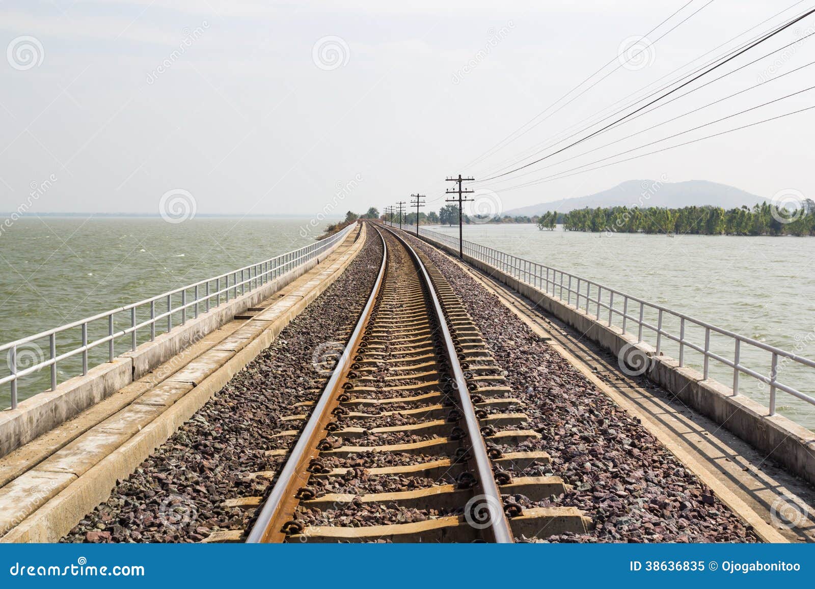 Floating Railroad at PaSak Chonlasit Dam Stock Image - Image of nature ...