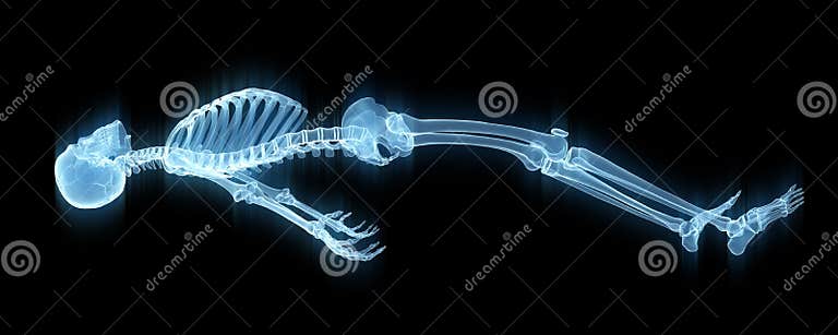 Floating skeleton stock illustration. Illustration of biology - 34776602