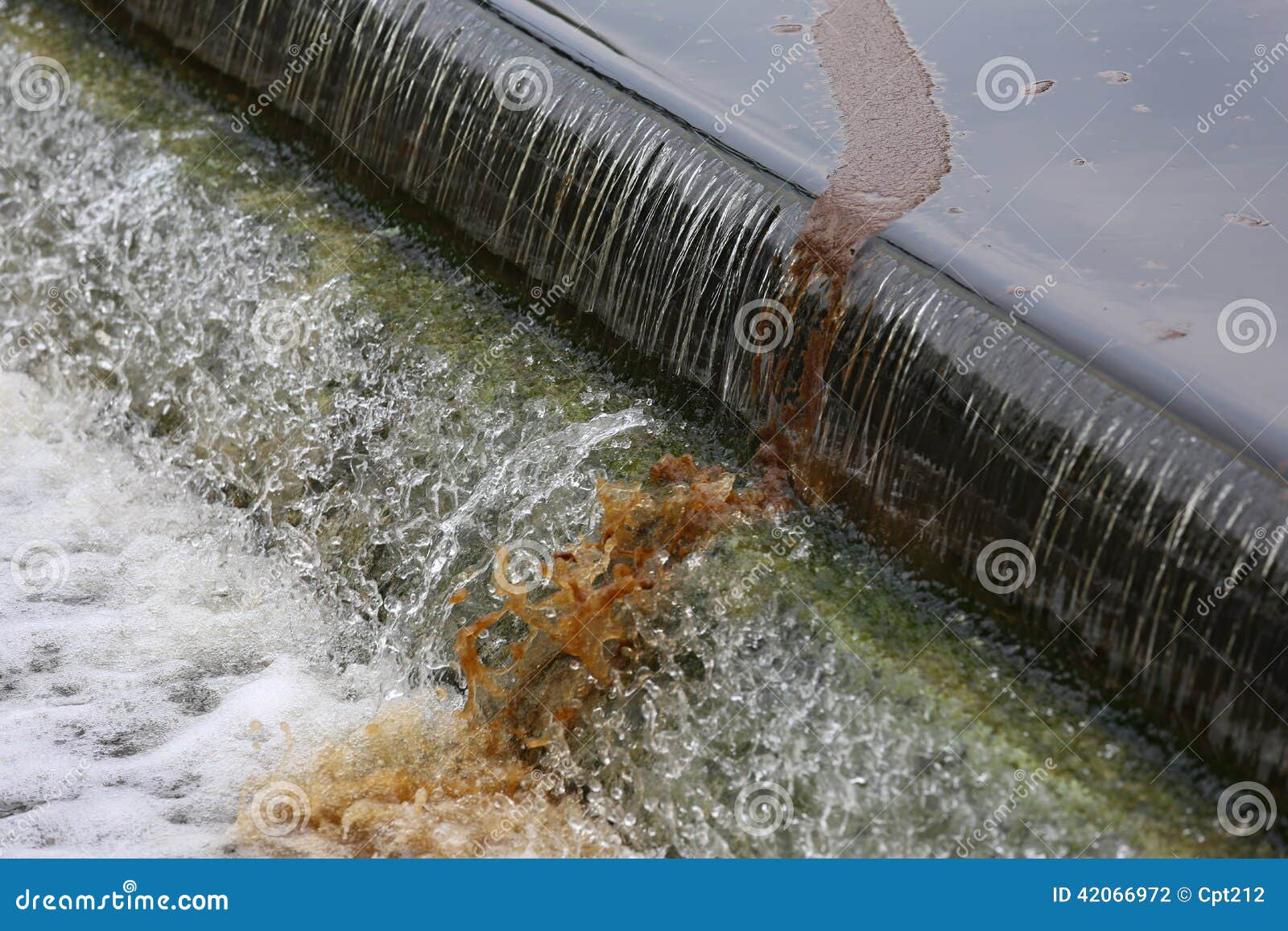 Floating sludge stock photo. Image of dirt, alga, blister - 42066972