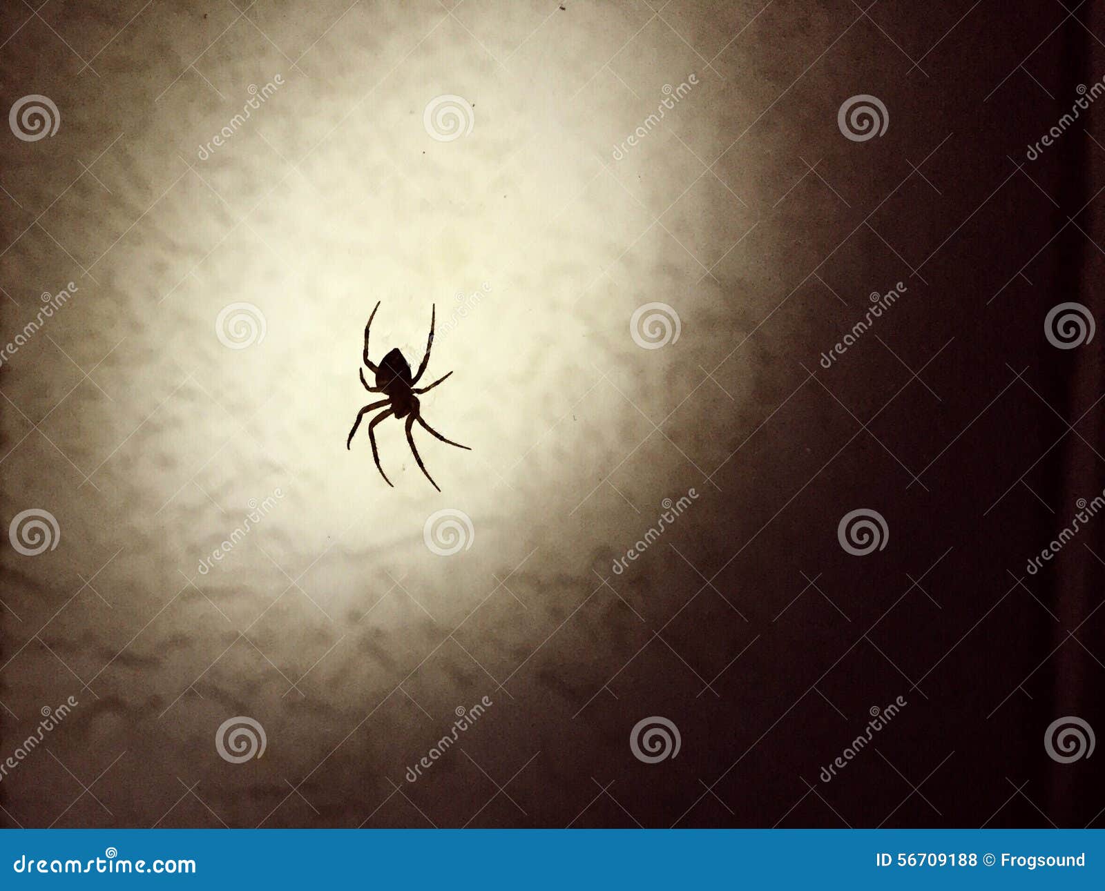 Floating Spider Stock Photography | CartoonDealer.com #56709188