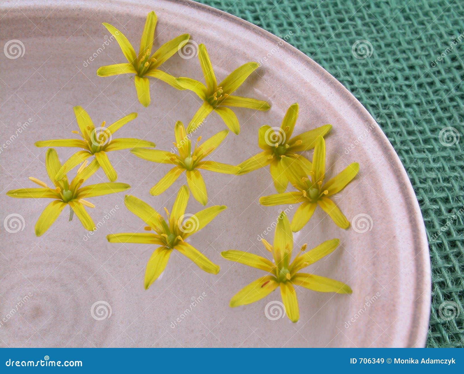 Floating spring flowers stock image. Image of liquid, healthy - 706349