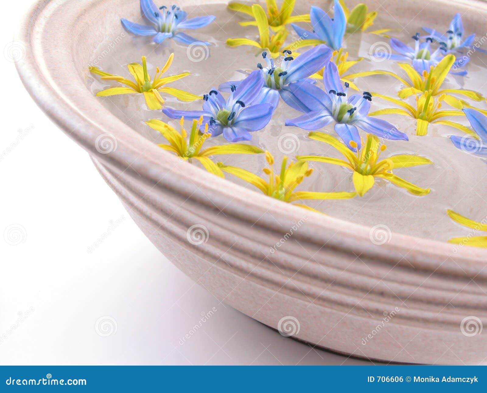 Floating spring flowers stock photo. Image of perfumed - 706606