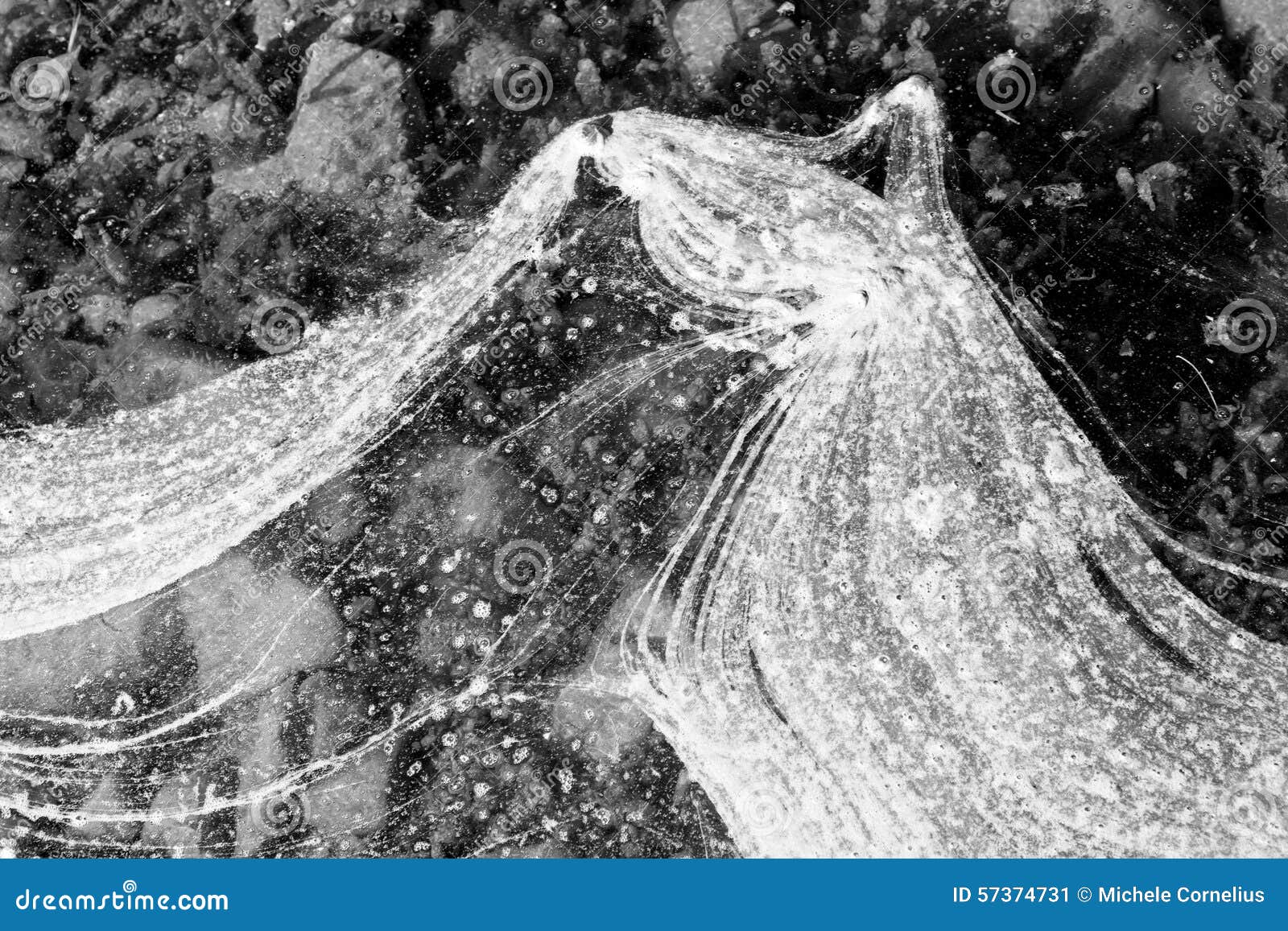 Floating Threads stock image. Image of floating, shallow - 57374731