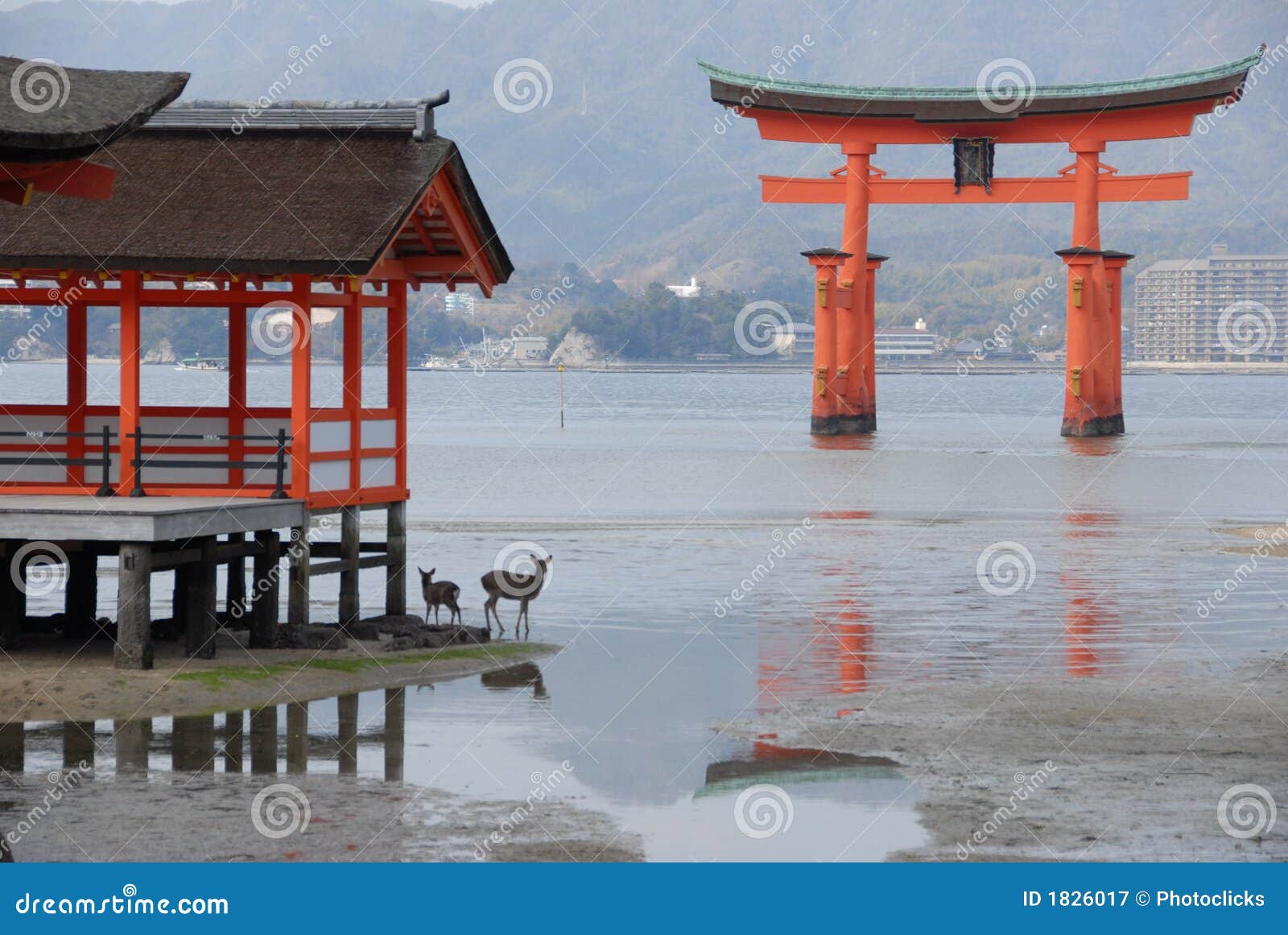 Floating torii gate stock image. Image of torii, gate - 1826017