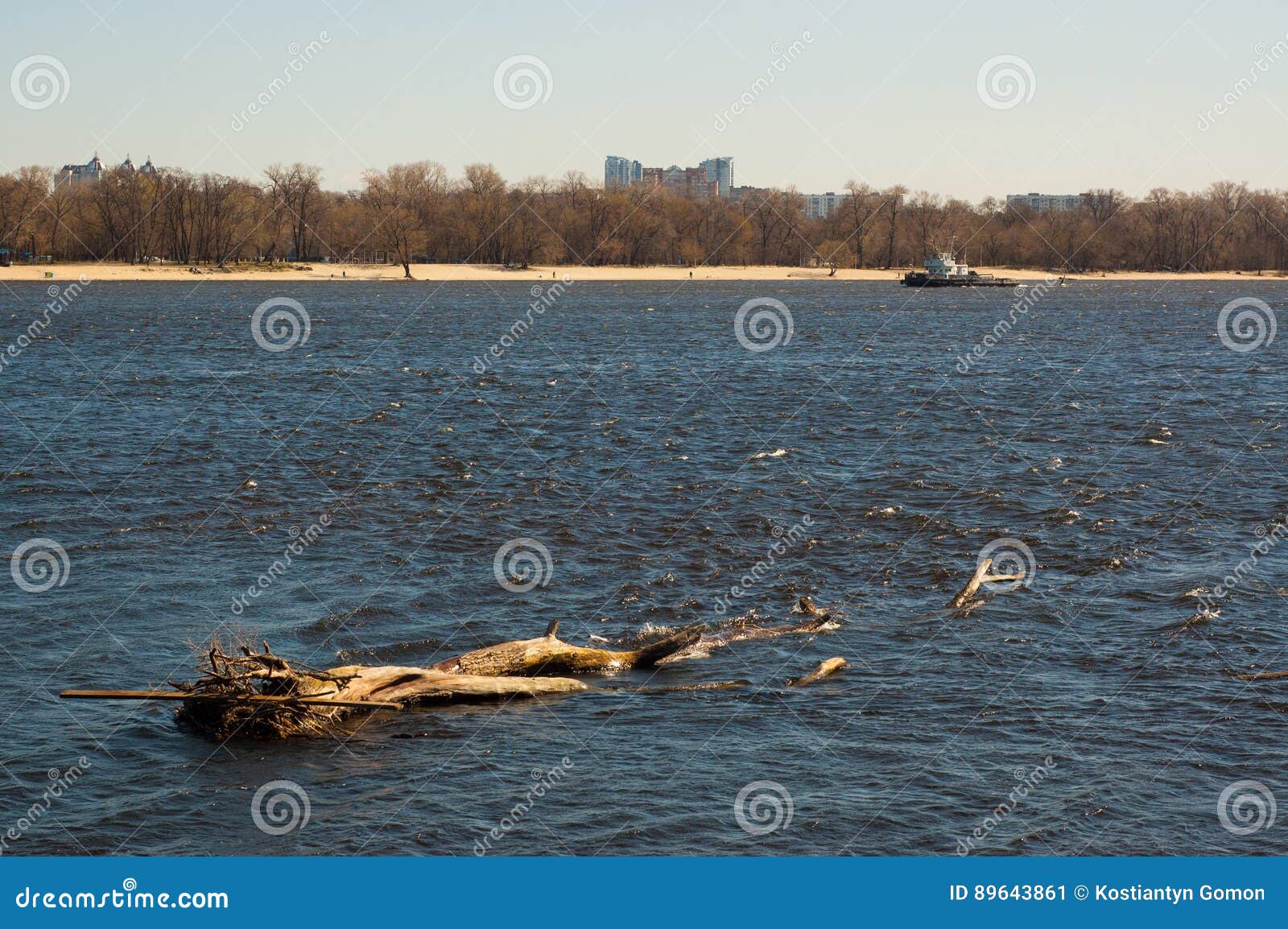 Old Floating Tree Logs On The Turquoise Surface Of Eco Lake In Thailand ...
