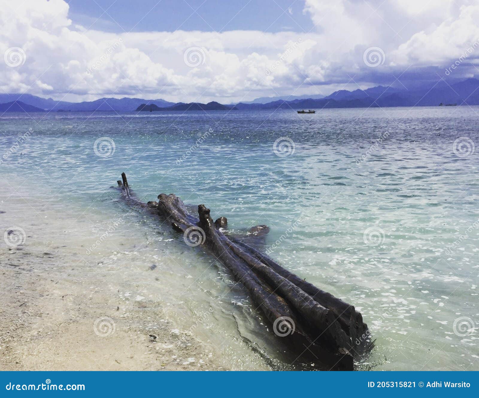 Old Floating Tree Logs On The Turquoise Surface Of Eco Lake In Thailand ...