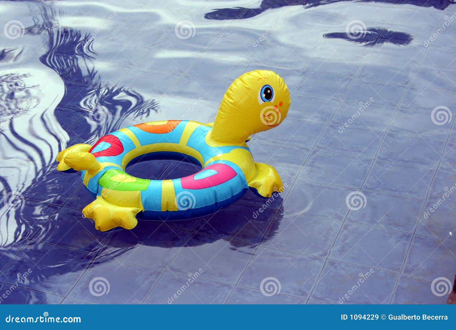 Floating Turtle stock image. Image of guard, yellow, pool - 1094229