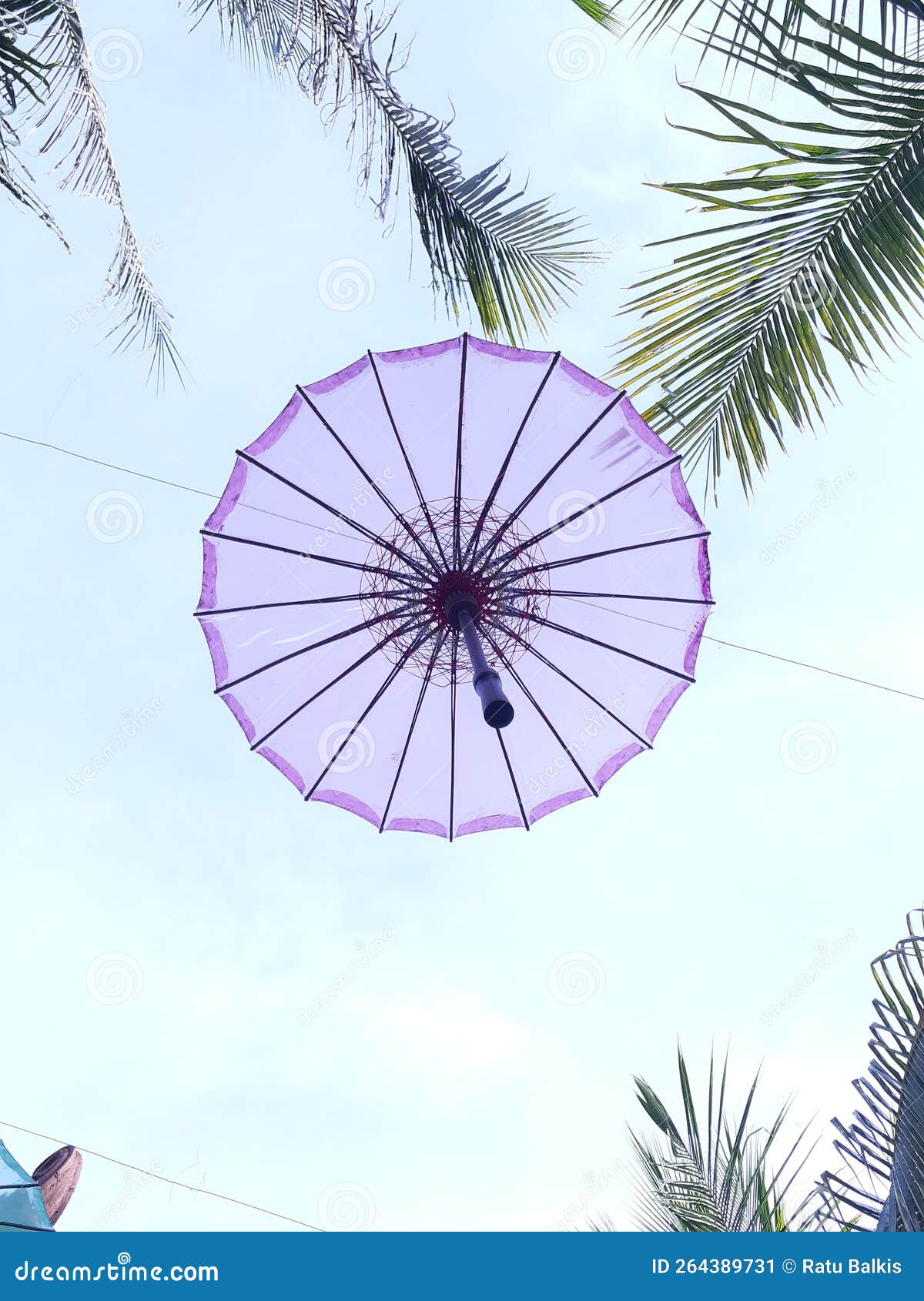 A Floating Umbrella with a Coconut Tree Next To it Stock Image - Image ...