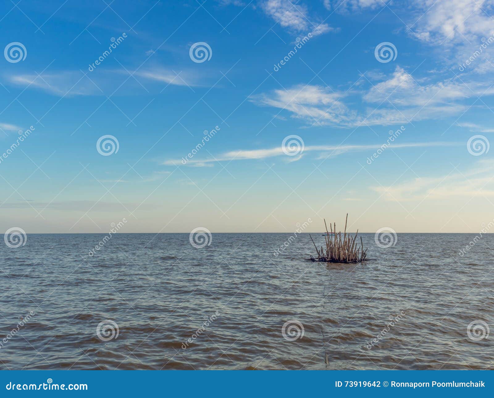 Floating Wood Buoy on Blue Sea Stock Photo - Image of indicator, color ...