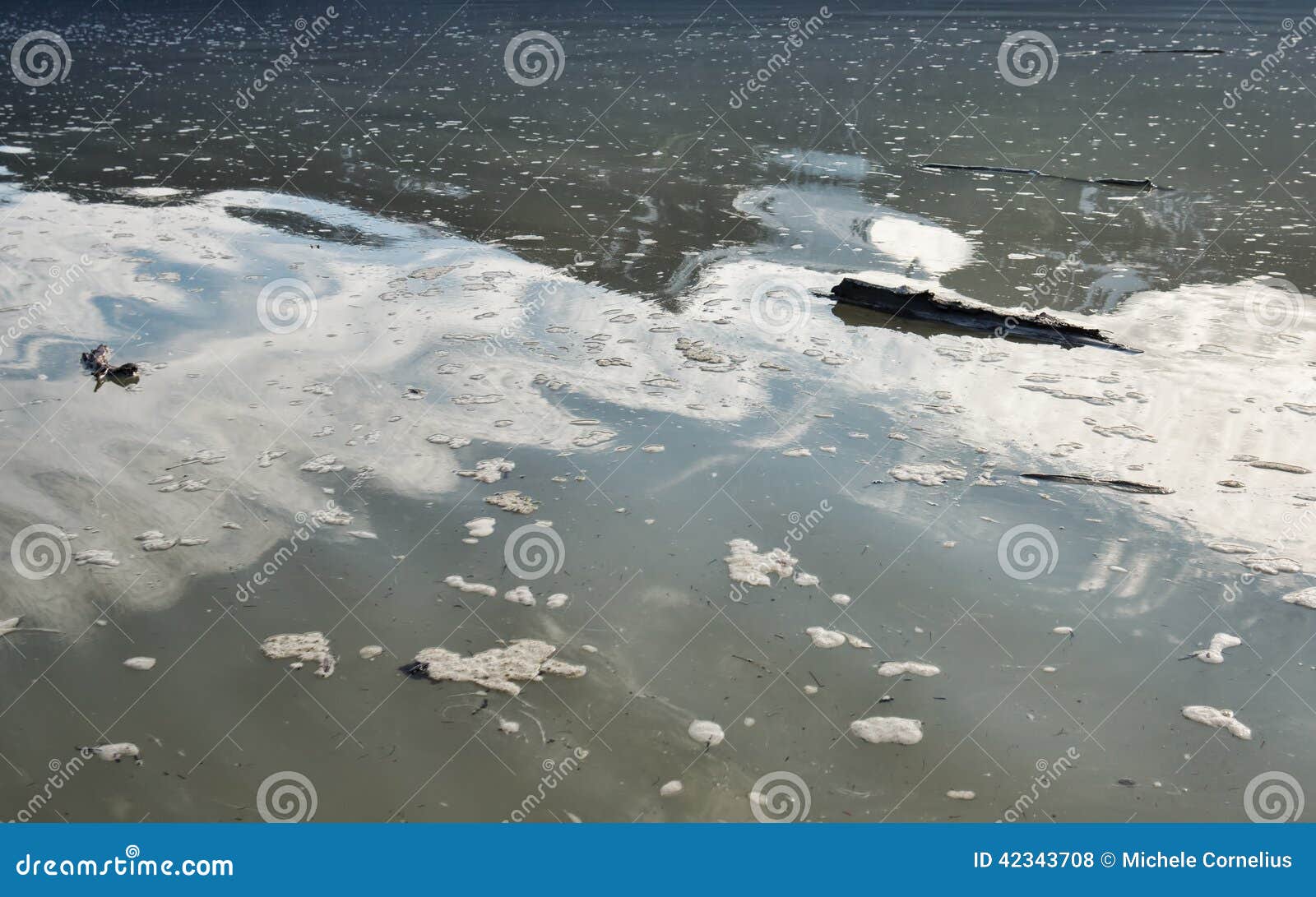 Floating Wood in Flood Water Stock Photo - Image of flood, water: 42343708