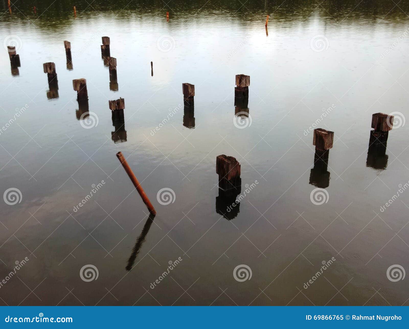Floating wood on ocean stock image. Image of spring, floating - 69866765