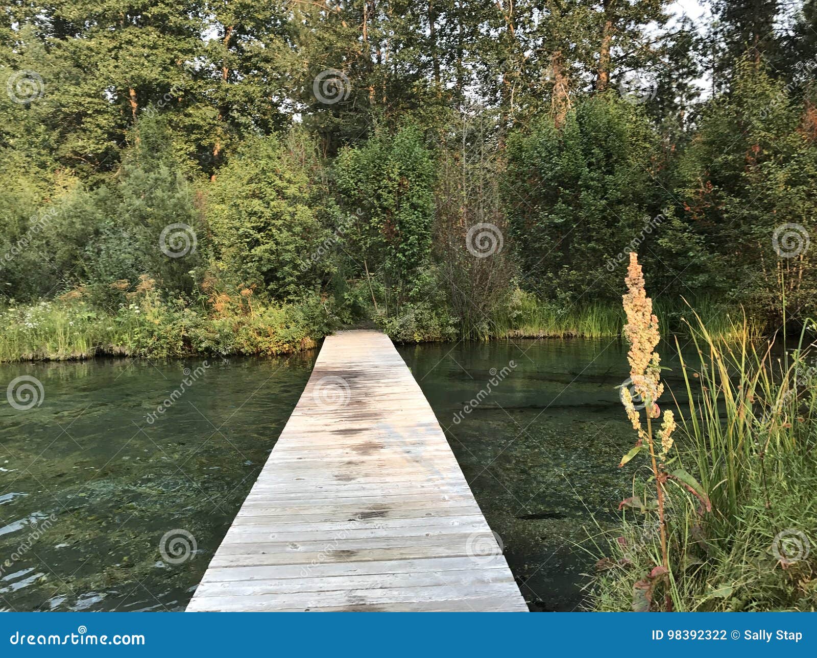 Floating wooden bridge stock photo. Image of wooden, floating - 98392322