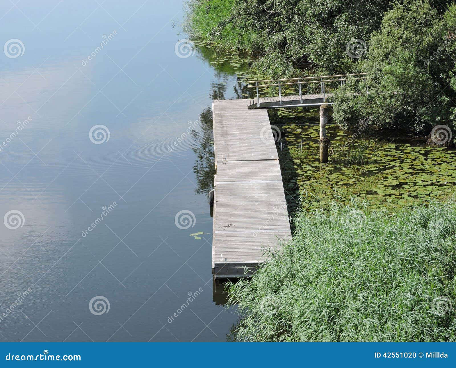 Floating Wooden Bridge in River Stock Photo - Image of beautiful ...