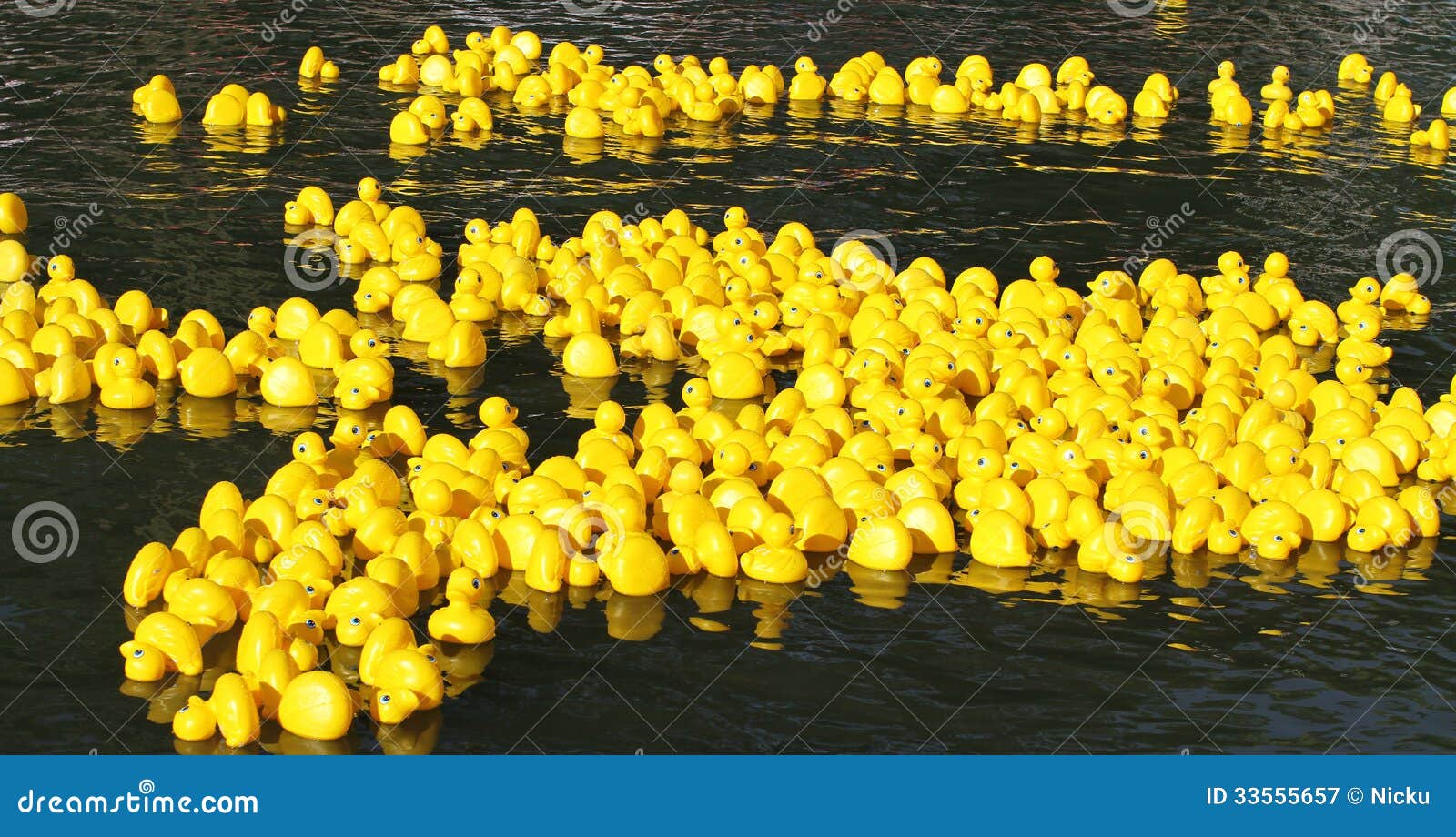 Floating Yellow Little Ducks Stock Image - Image of cute, river: 33555657