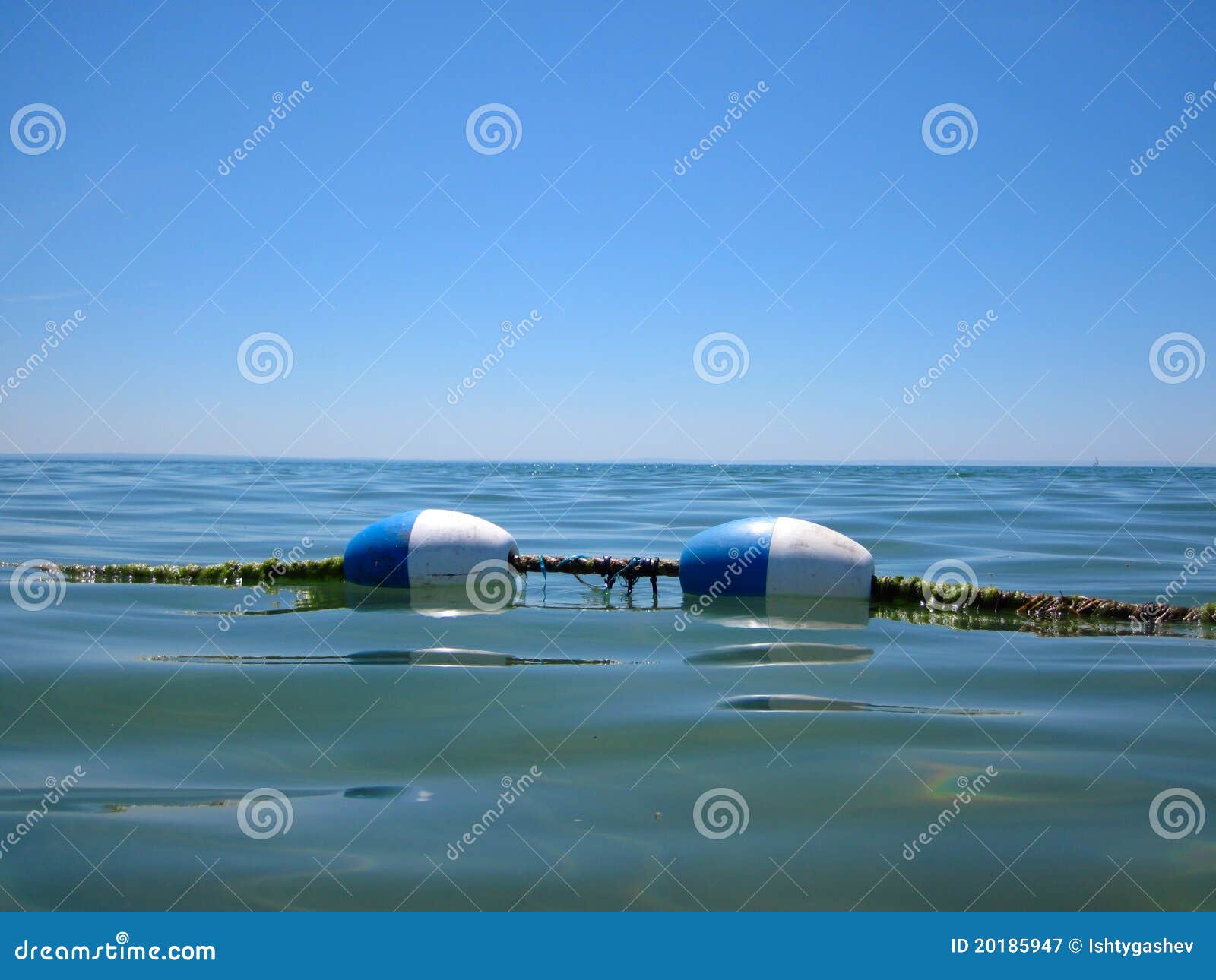 Floats stock image. Image of rope, horizontal, deep, beach - 20185947