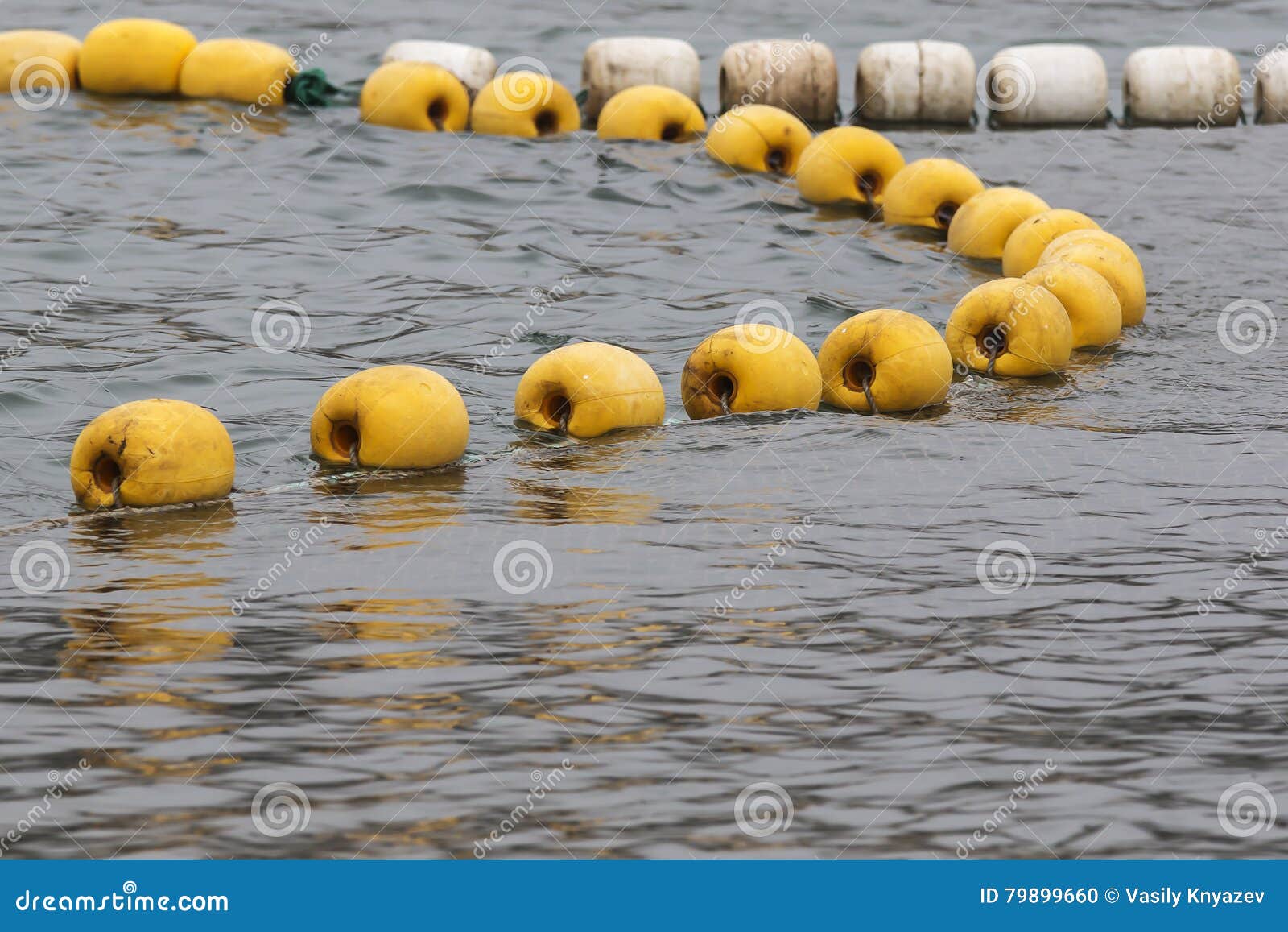 Floats Fishing Nets on the Water Stock Photo - Image of fishing, catch ...