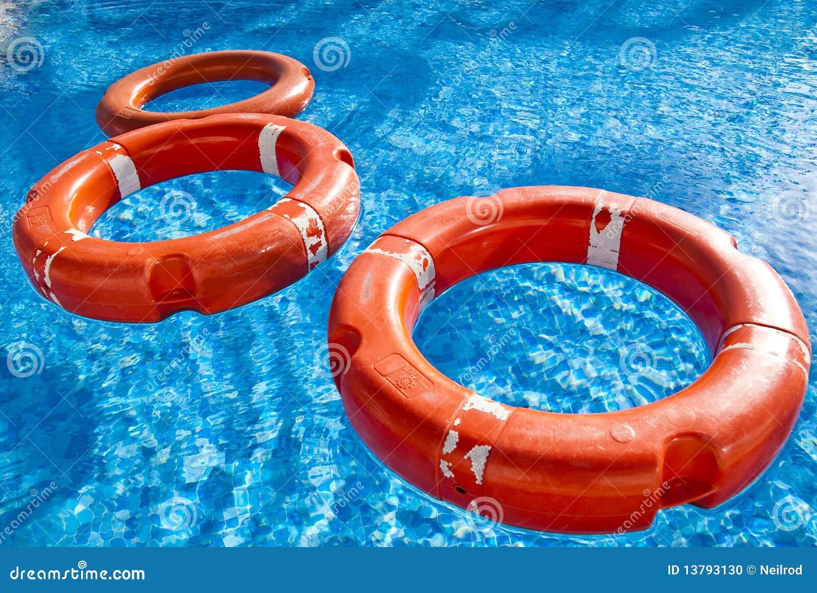 Floats in a pool stock photo. Image of pool, paradise - 13793130