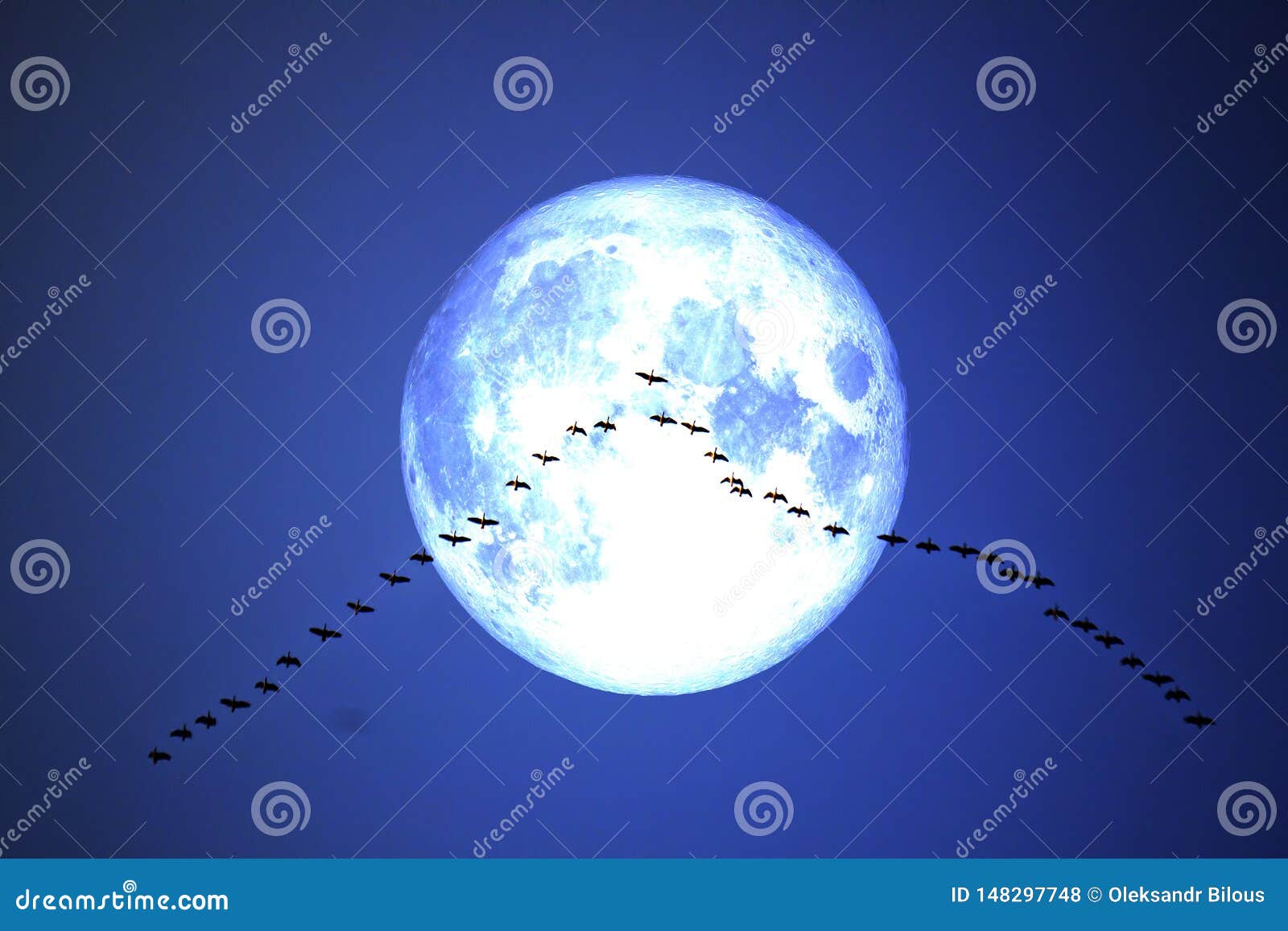 Geese Migration Moon Stock Photos - Download 24 Royalty Free Photos