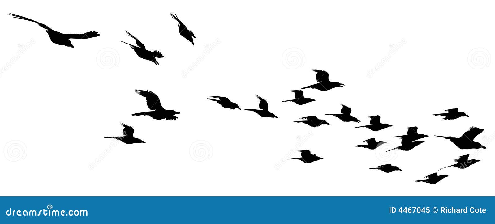 Flock of birds stock illustration. Illustration of skies - 4467045