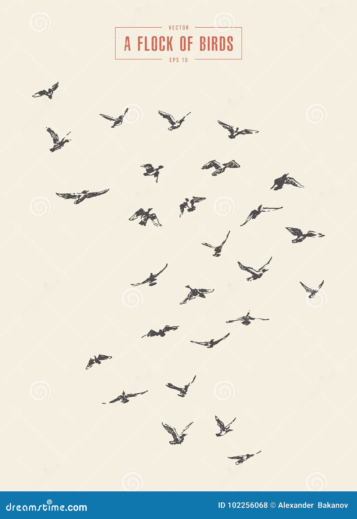 A Flock of Birds Drawn Vector Illustration, Sketch Stock Vector ...