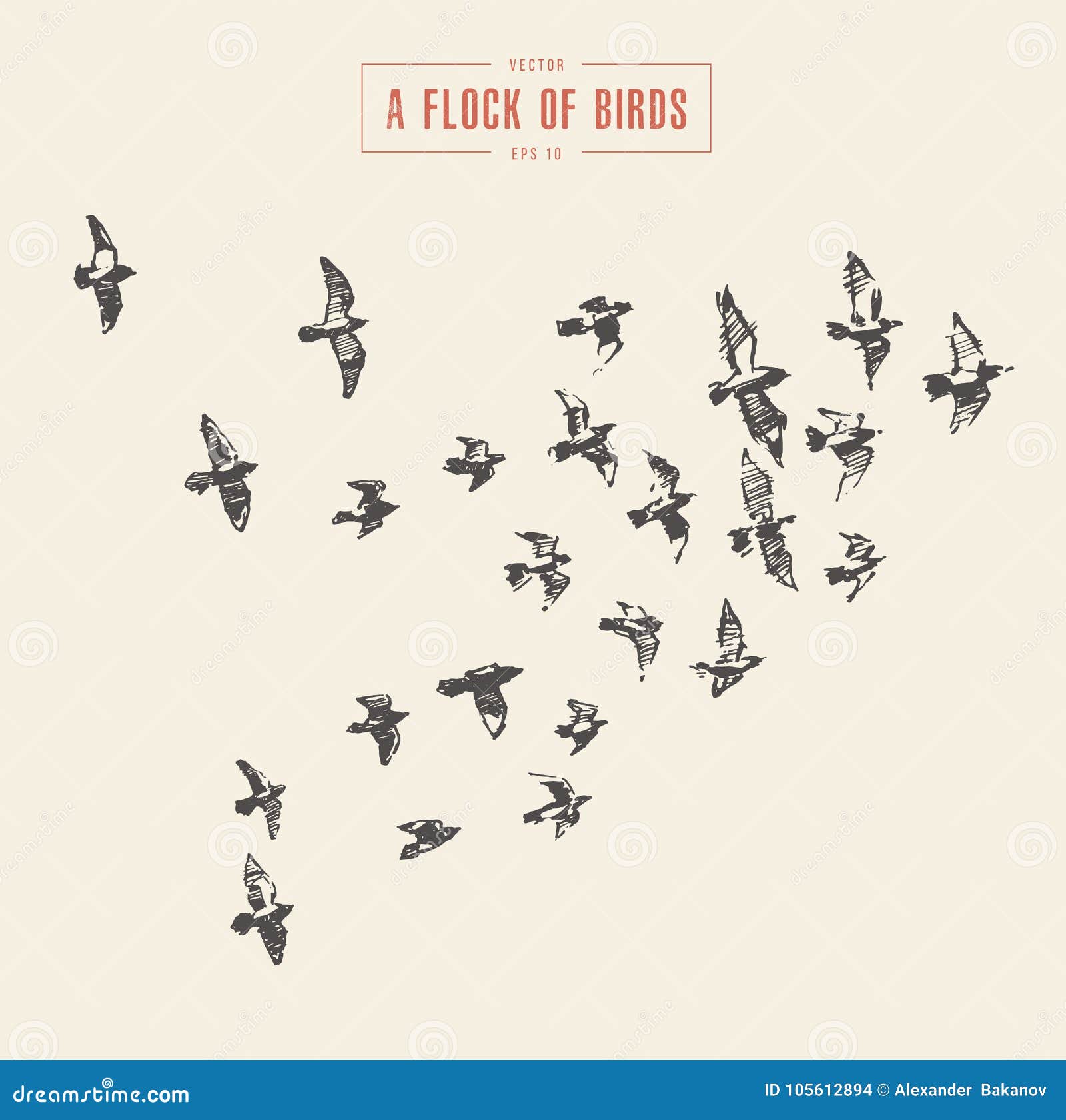 A Flock of Birds Drawn Vector Illustration, Sketch Stock Vector ...