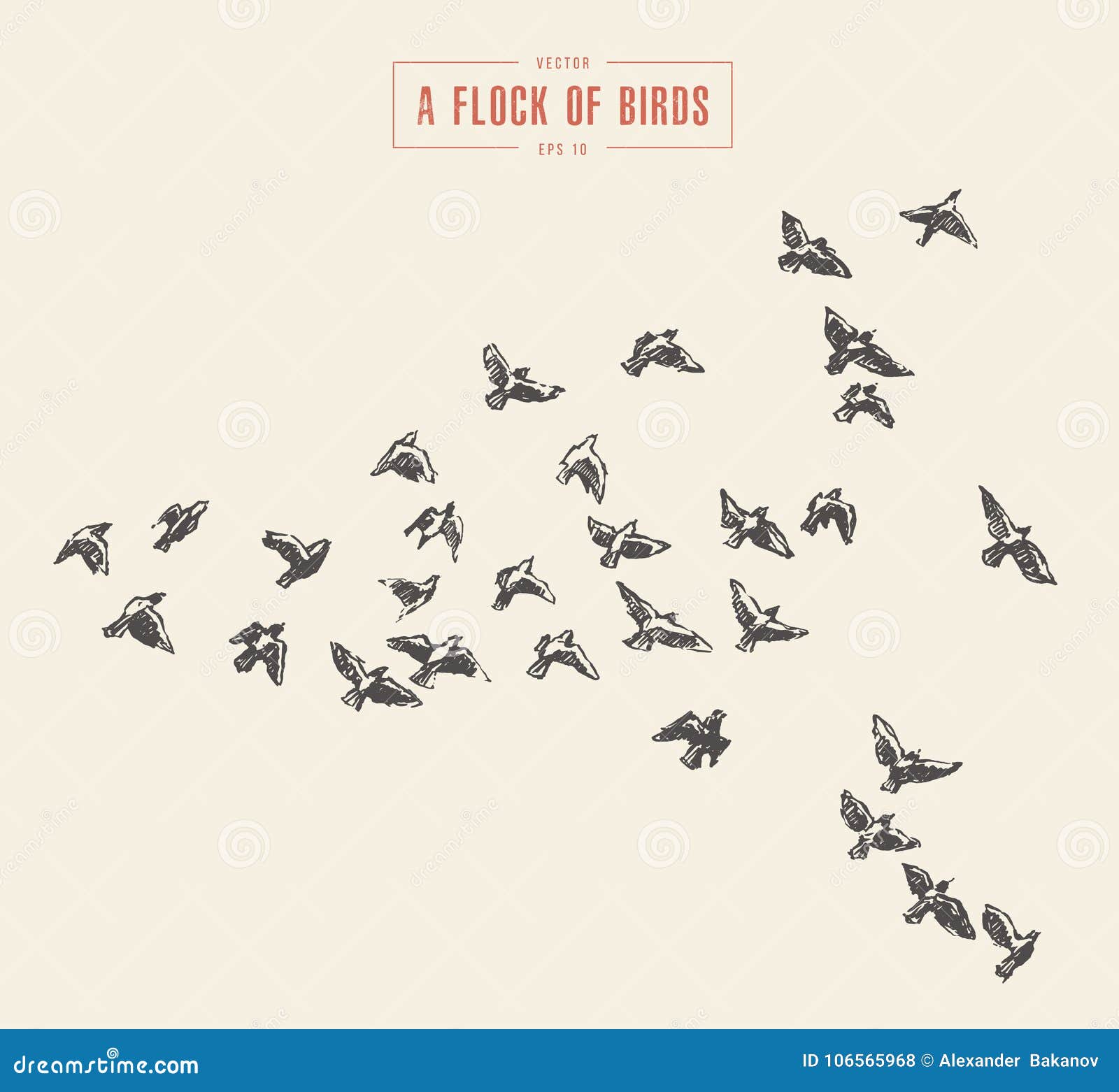 A Flock Of Birds Drawn Vector Illustration, Sketch | CartoonDealer.com ...