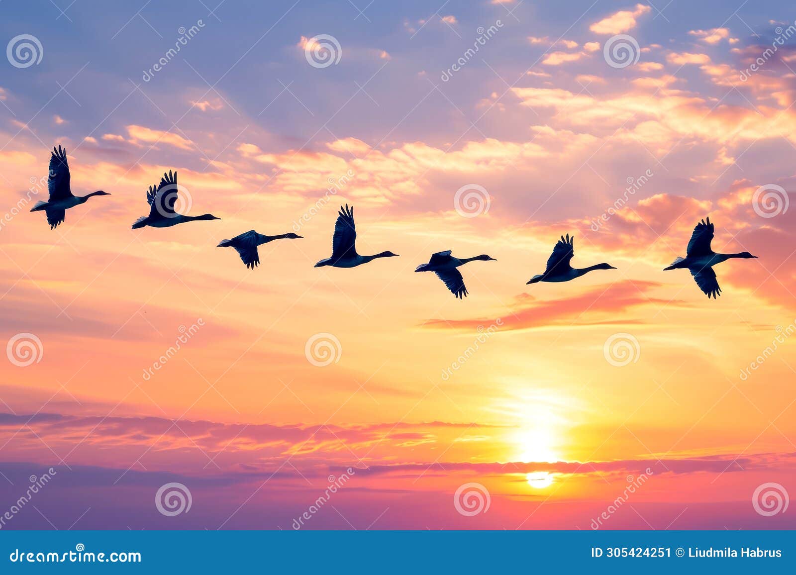 Flock of Birds Flying in Formation, Representing Unity and Teamwork ...