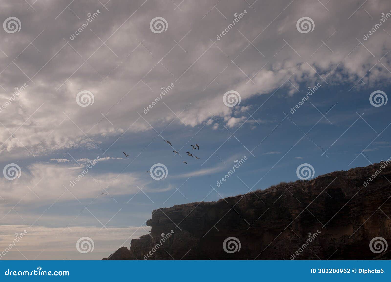 Flock of Birds Flying Near the Ocean Stock Photo - Image of destination ...