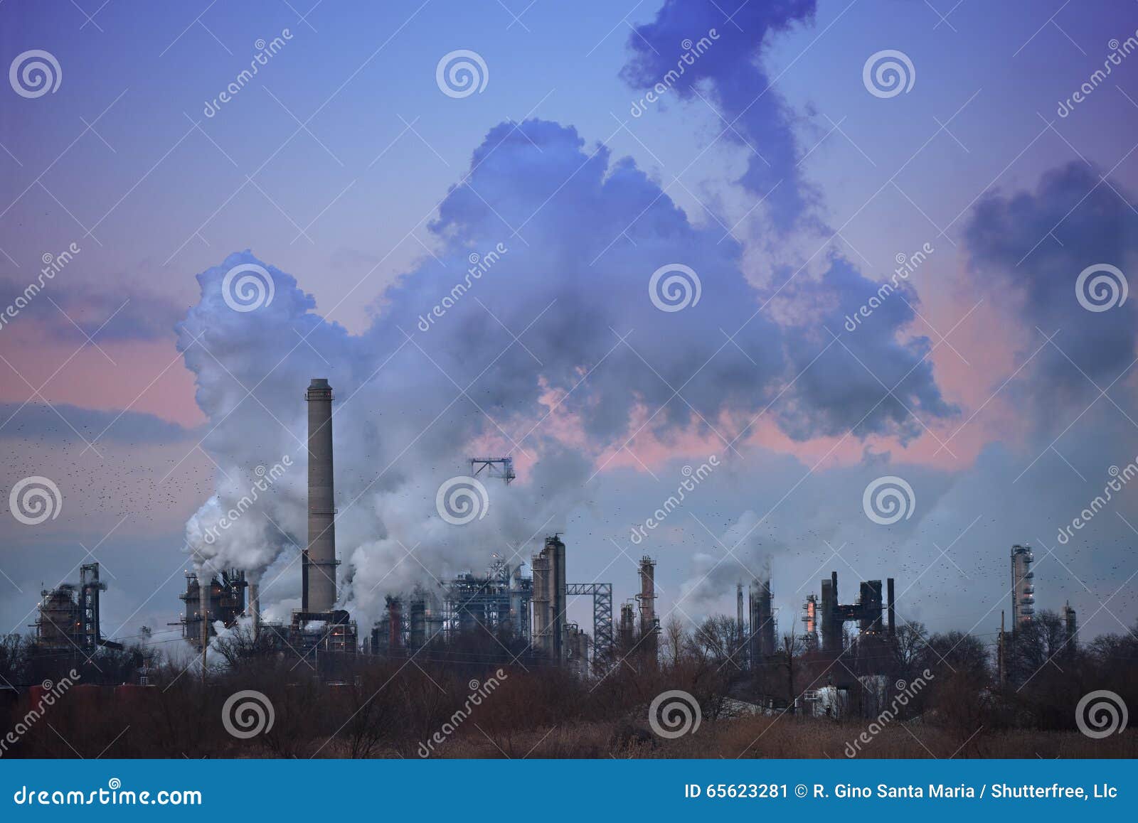 Flock of Birds Flying by Smoke Stacks Stock Image - Image of birds ...
