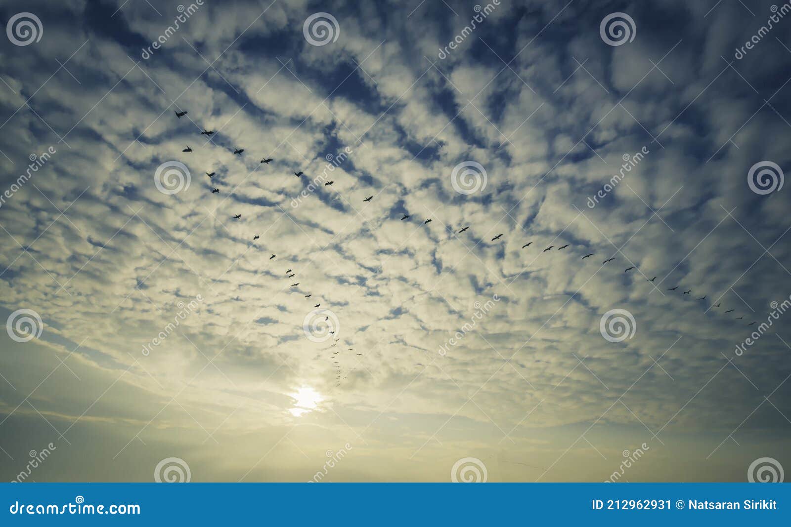 Flying Triangle Flock Of Migratory Birds Stock Image | CartoonDealer ...
