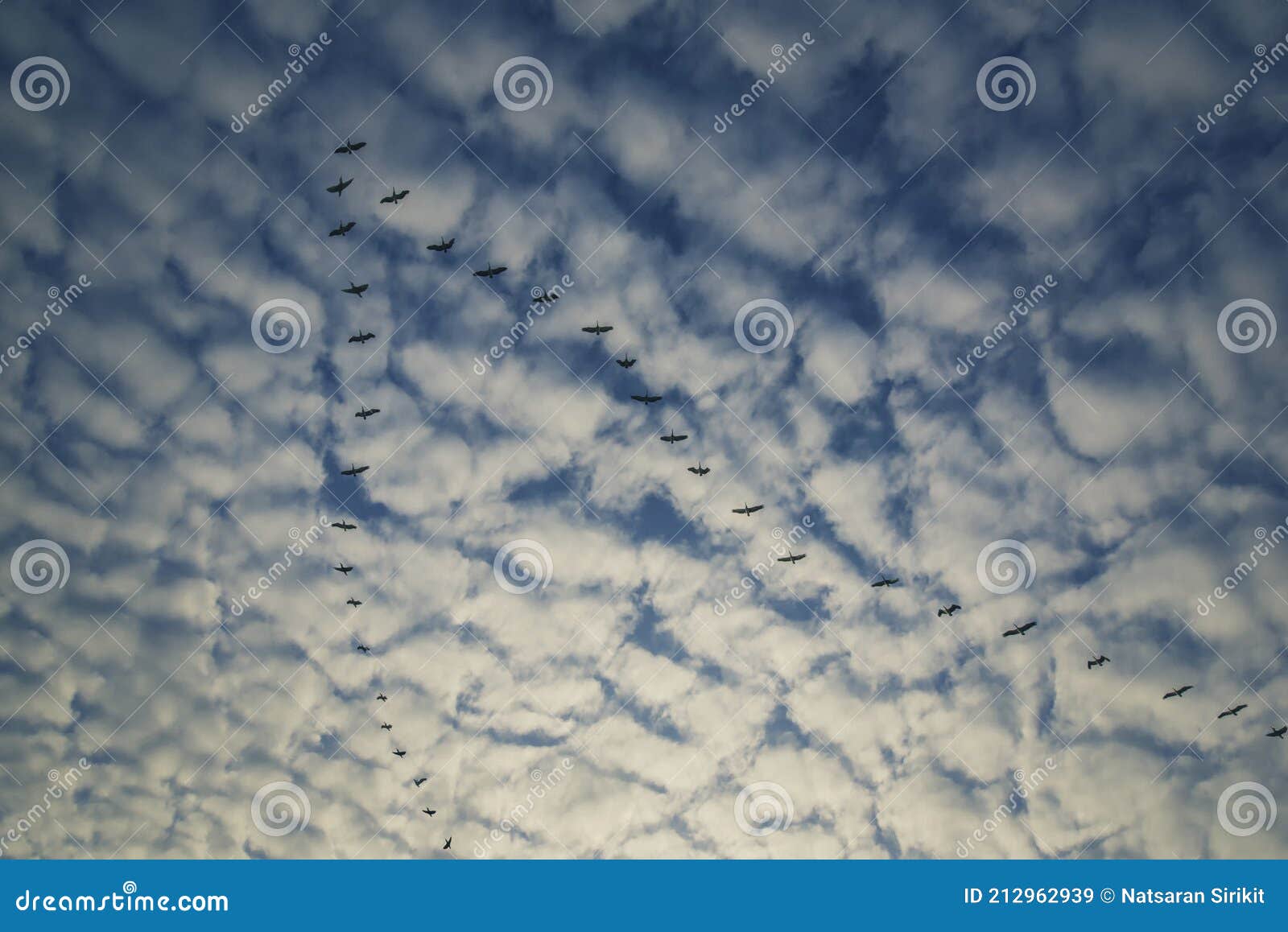 Flying Triangle Flock Of Migratory Birds Stock Image | CartoonDealer ...