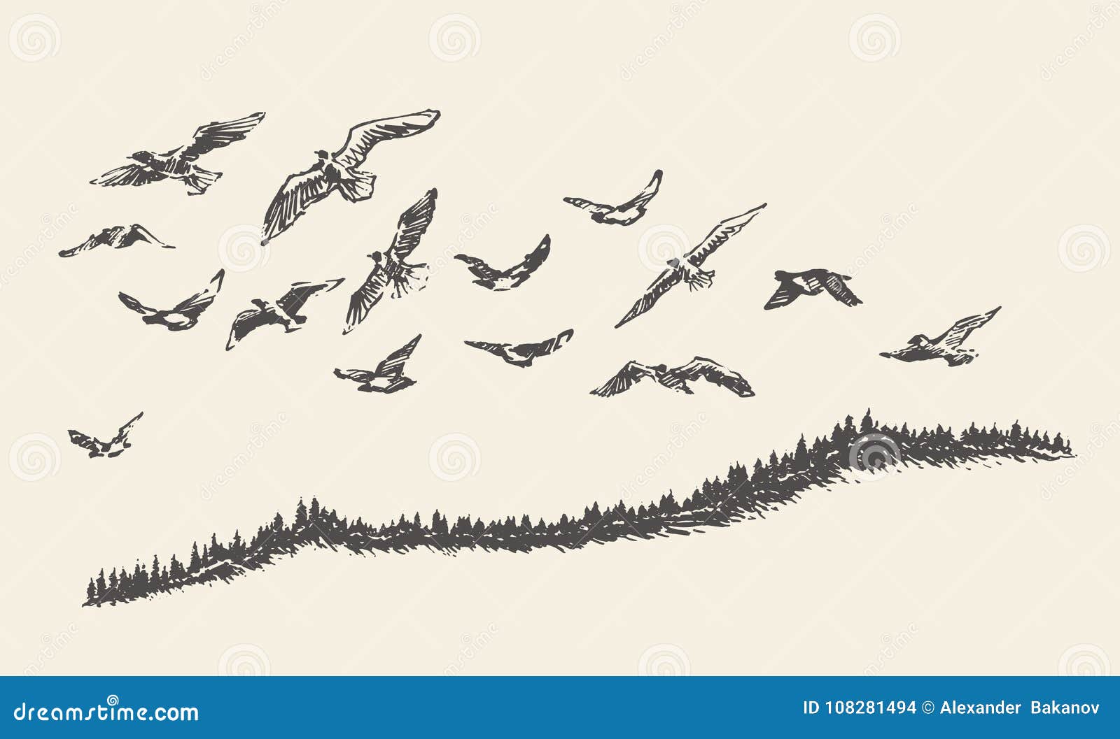 A Flock of Birds Drawn Vector Illustration, Sketch Stock Vector ...