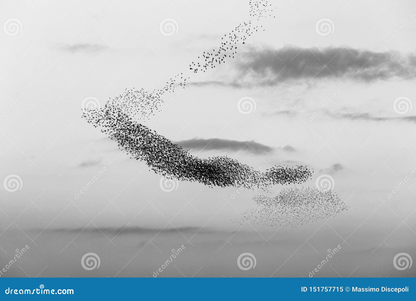 Beautiful Sinuous River With Brave Water And A Roman Bridge In The ...