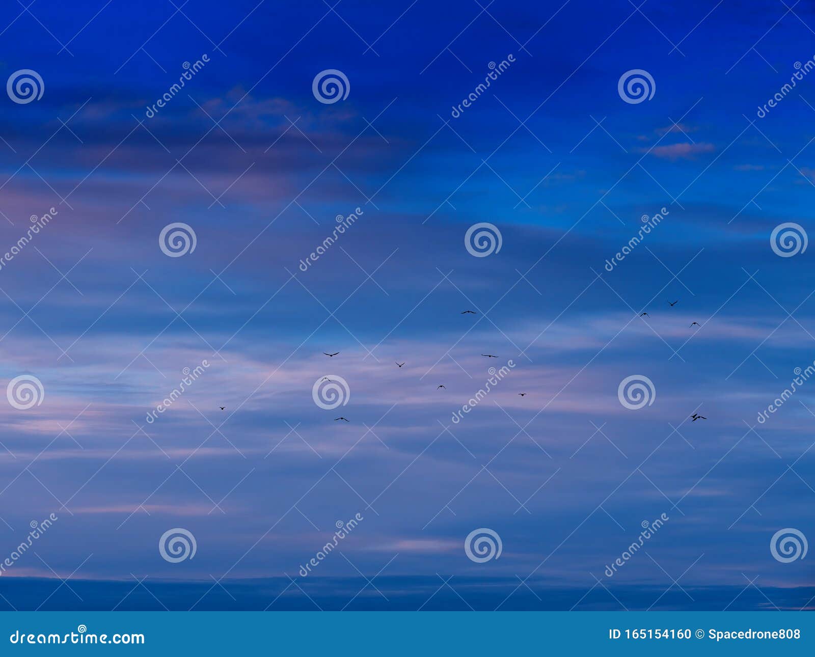 Flock of Birds Migrating South Background Stock Photo - Image of ...