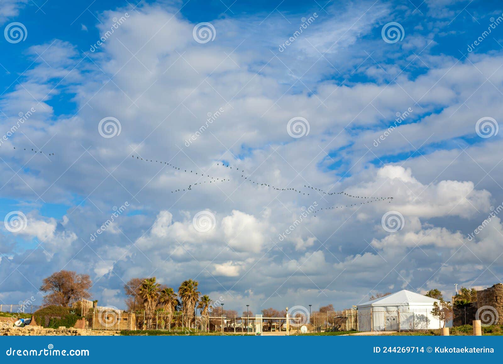 A Flock of Birds Migrating To a Warm Climate Stock Photo - Image of ...