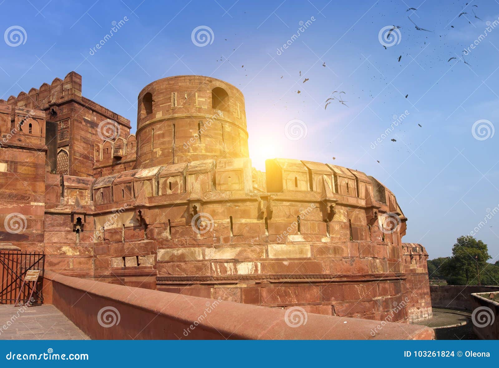 Flock of Birds Over Red Fort. India Stock Photo - Image of agra ...